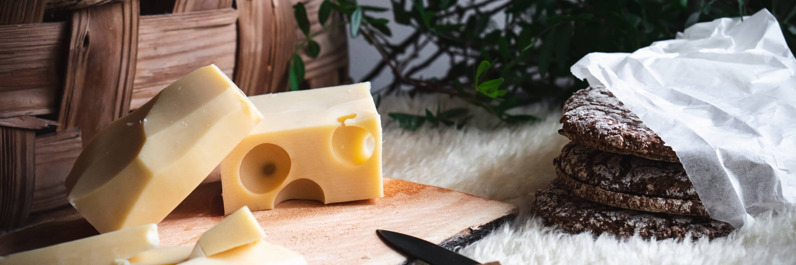 Kuusamon Juusto — Biocode — Reports