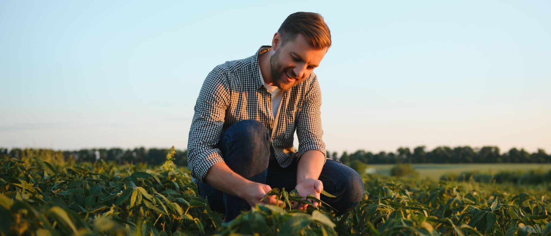 Producers & farmers — Biocode