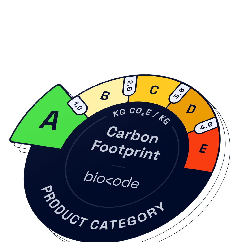 How to Calculate Carbon Footprint?