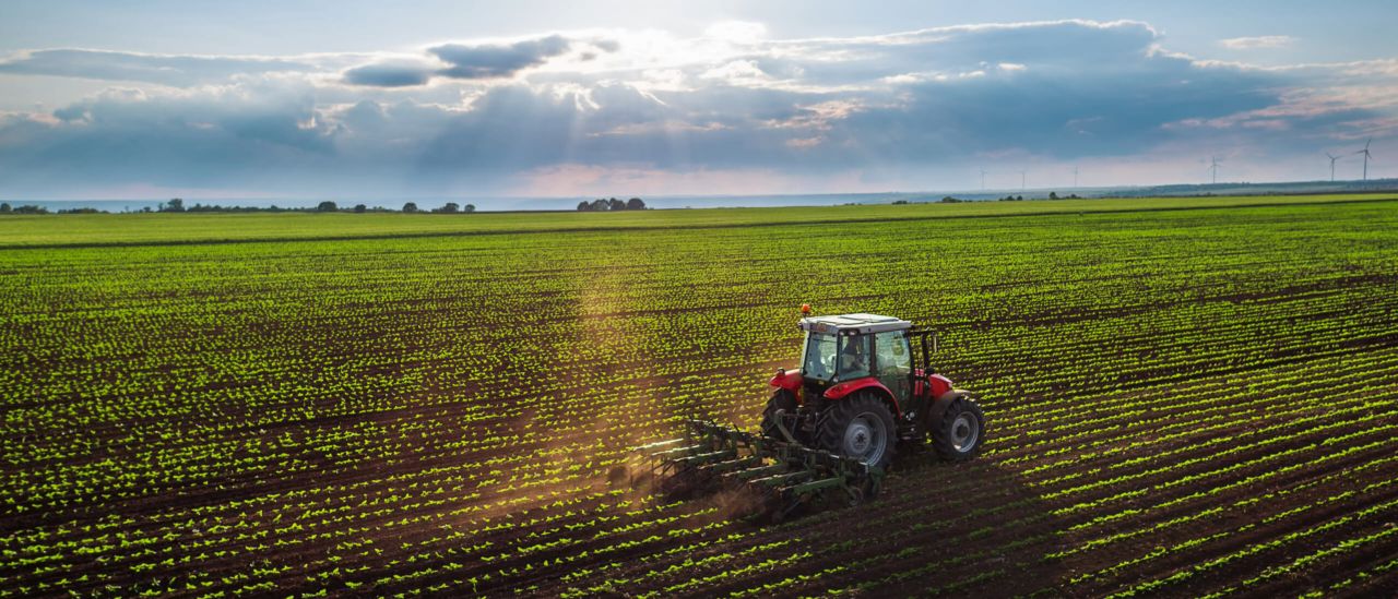 SBTi’s FLAG Emissions Calculation made easy for your company — Biocode